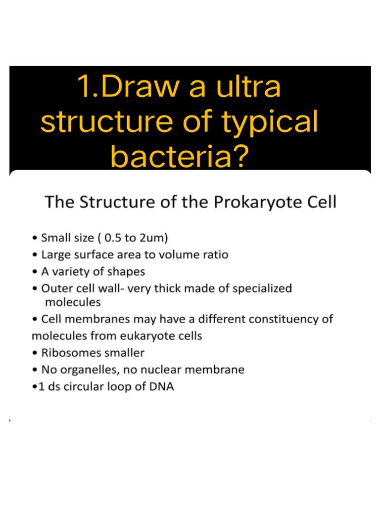 Microbiology 10 Marks Notes | PDF