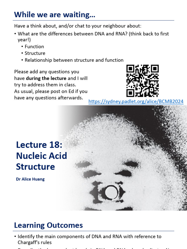BCMB2X01 MEDS2003 2024 L18 NucleicAcidStructure | PDF | Dna | Rna