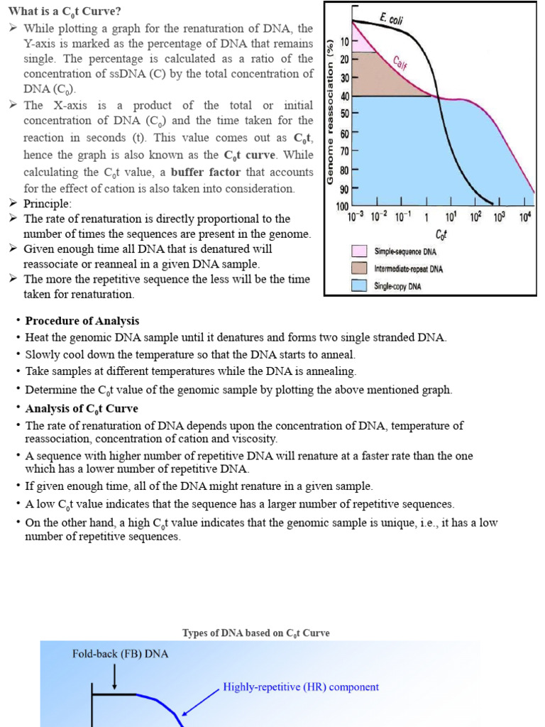 Cot Curve Factors Affecting Types of Dna Based On Cot Curve Chemical ...