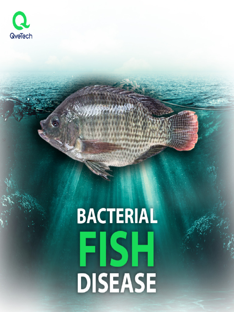 Bacterial fish diseases | PDF