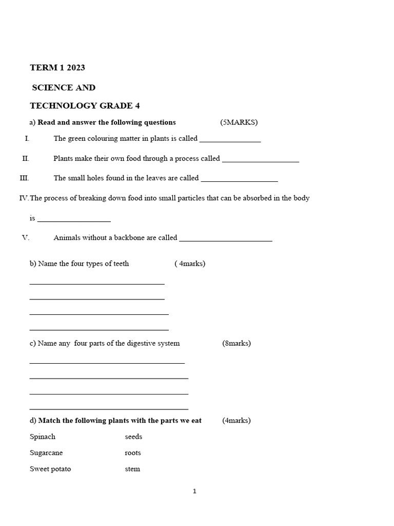 Grade 4 Science and Technology - 025504 | PDF