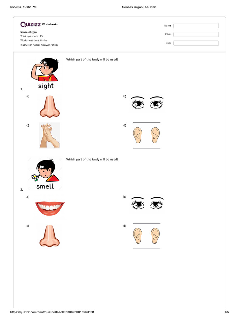 Senses Organ Worksheet Quiz | PDF