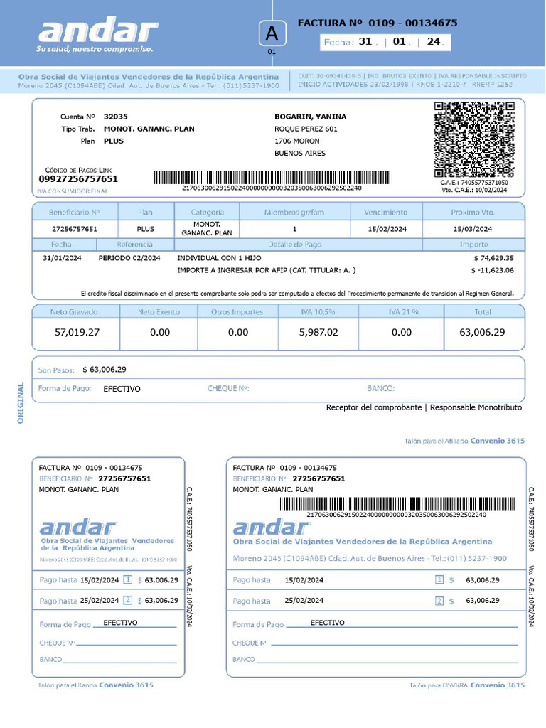 Factura 202402 | PDF