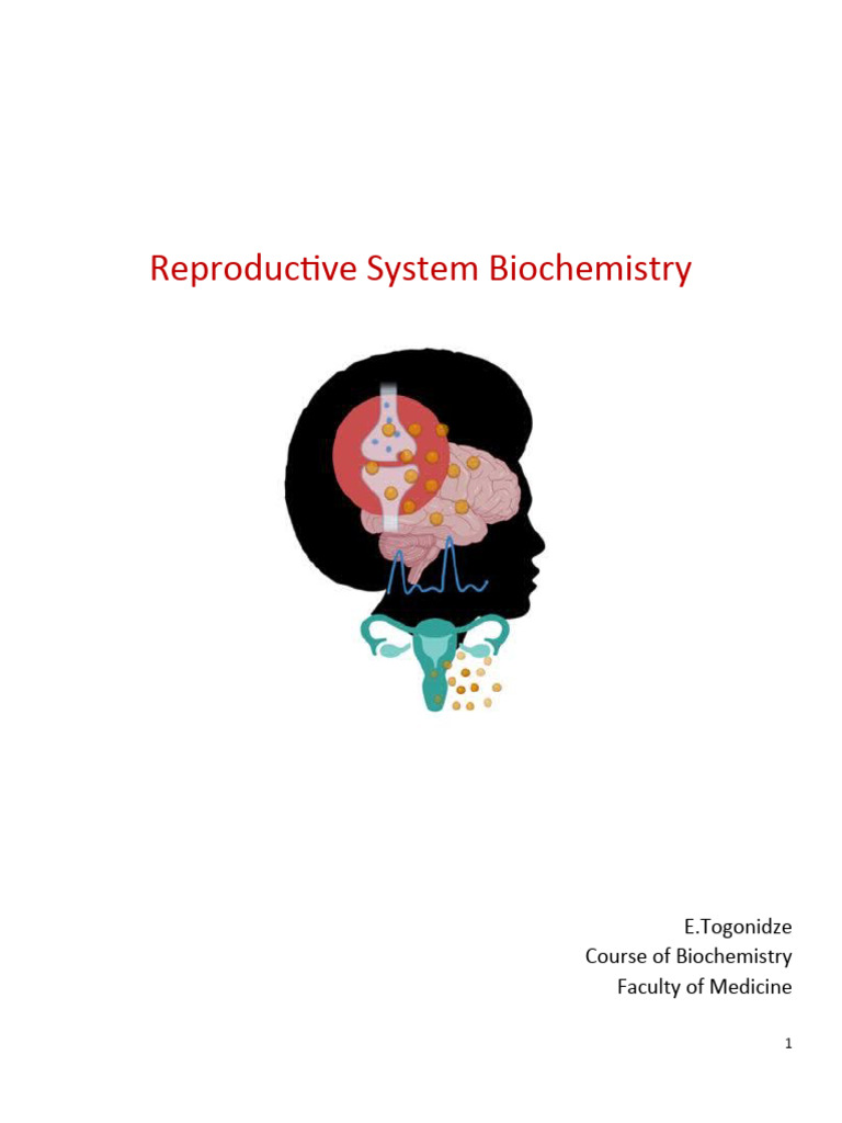 Biochemistry of the Reproductive System | PDF | Menstrual Cycle ...