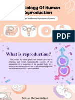 The Anatomy of Cattle Reproductive System | PDF | Luteinizing Hormone ...