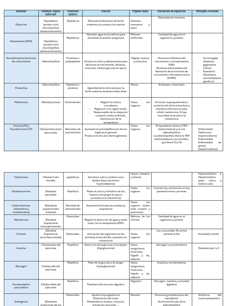 Esquema Endocrino Completo | Descargar gratis PDF | Gonadotropina | Hormona luteinizante