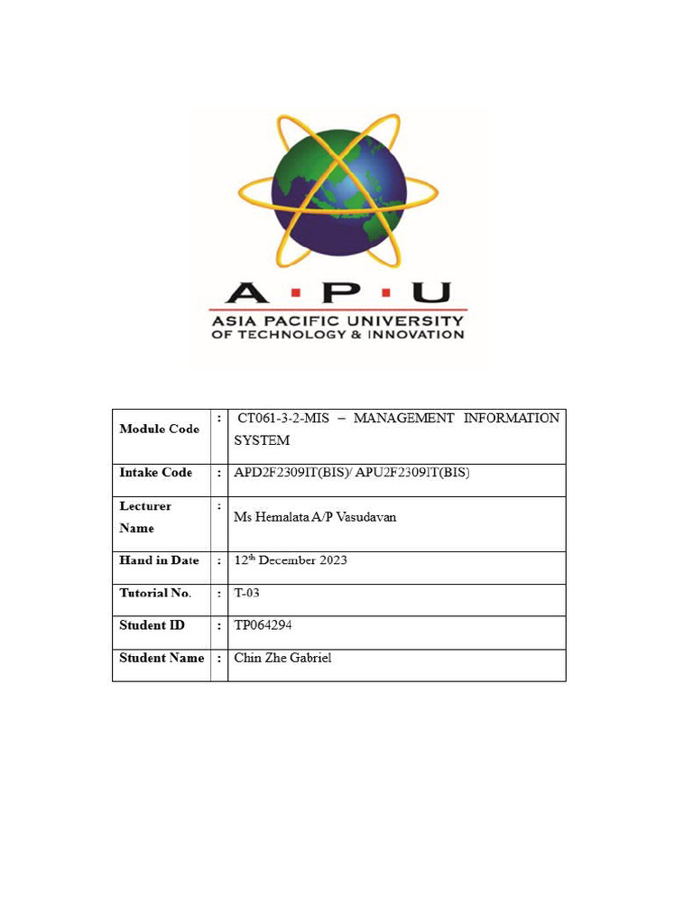 MIS Individual Assignment | PDF | Cloud Computing | Scalability
