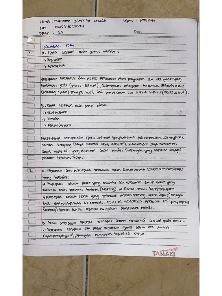 2a - Miftahul Jannah Sinaga | PDF