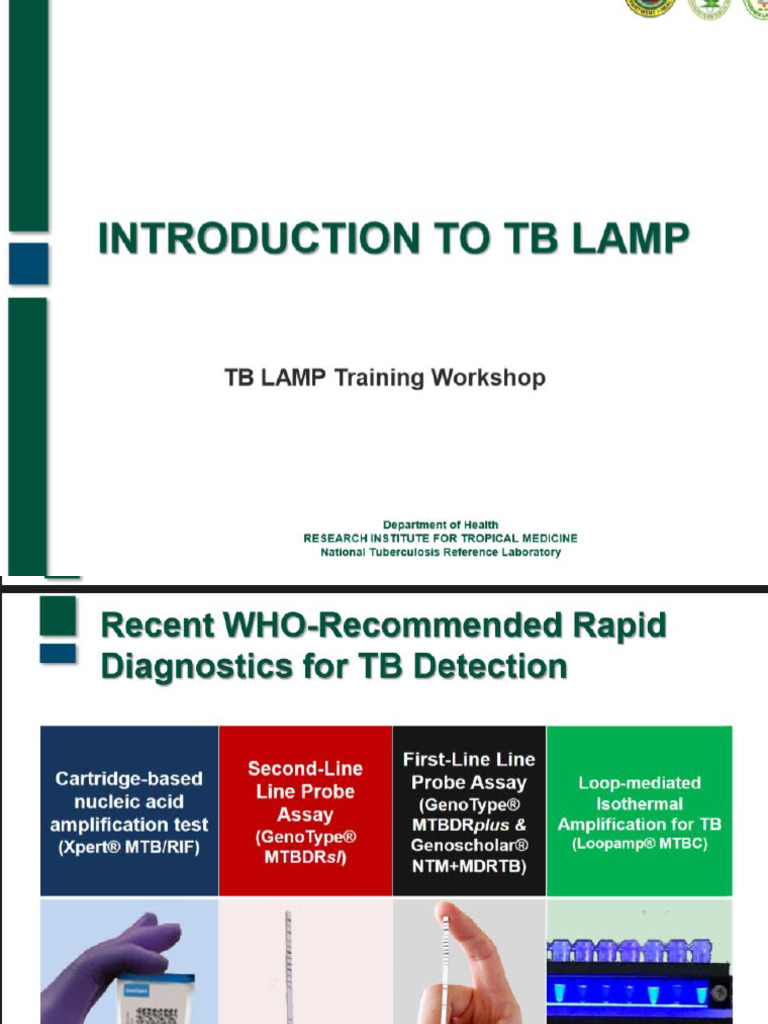 TB Lamp | PDF