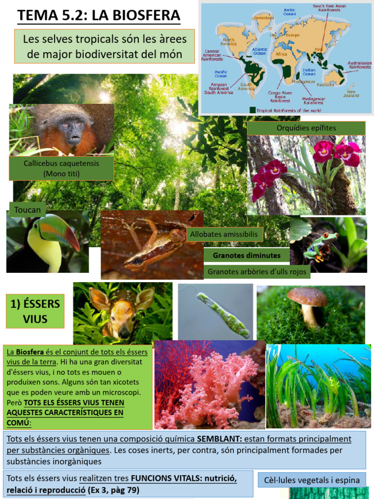 Tema 5.2. La Biosfera | PDF