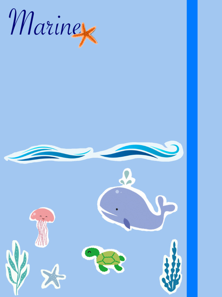 Marine Adventure Activities Guide | PDF | Sunscreen