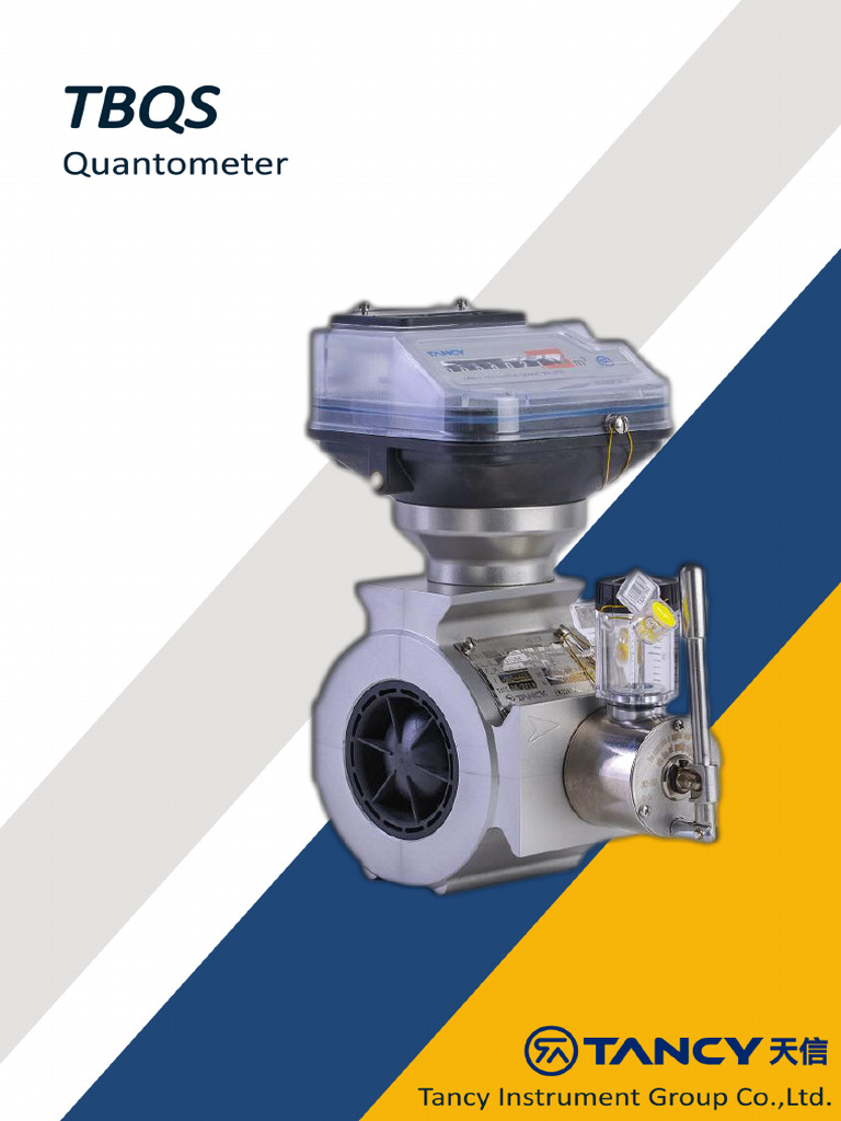 TBQS Quantometer: Gas Turbine Meter | PDF | Flow Measurement | Turbine