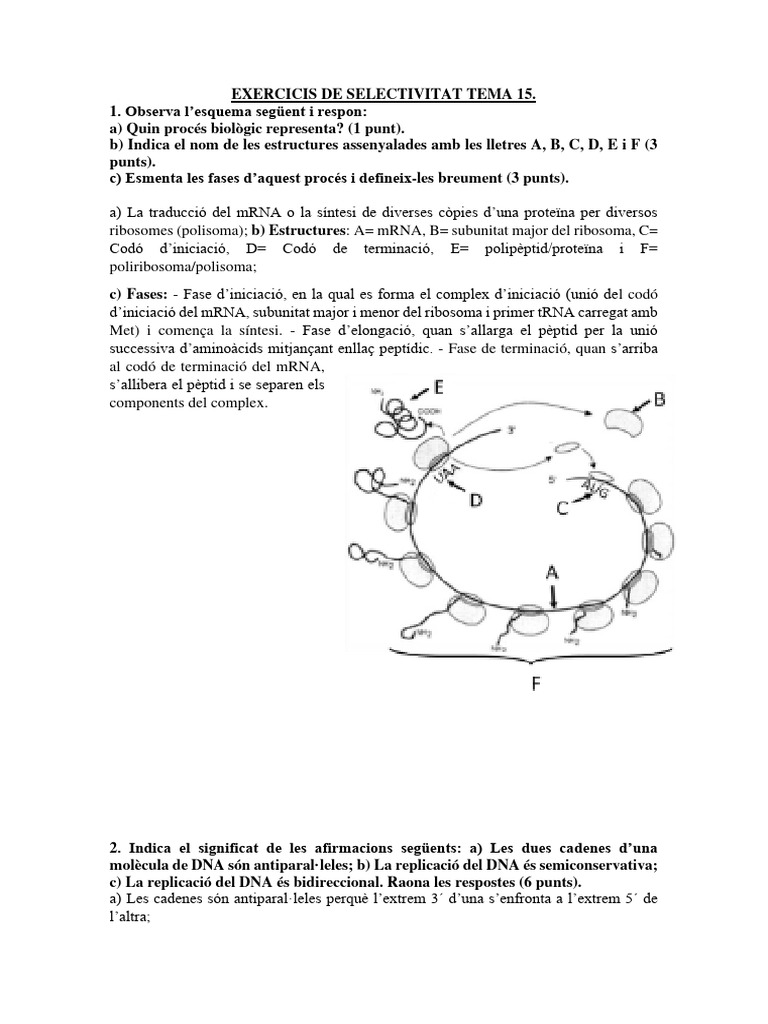 Tema 15 Repàs - Docx 1 | PDF