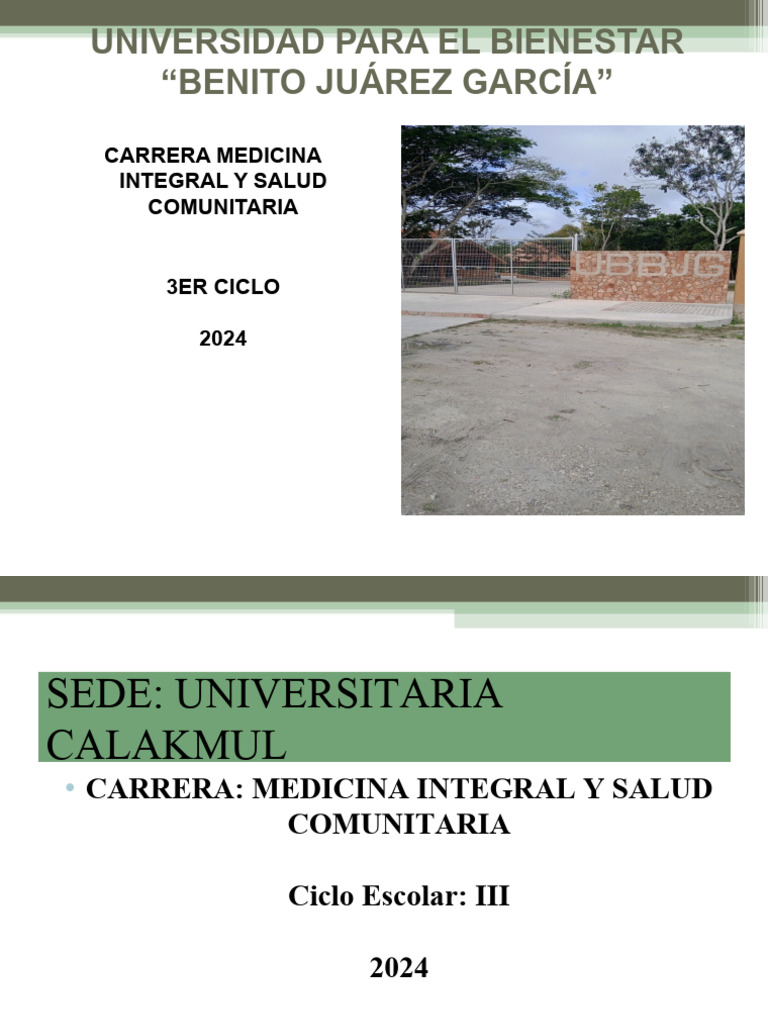 Sistema Nervioso: Estructura y Función | PDF | Médula espinal | Ganglio