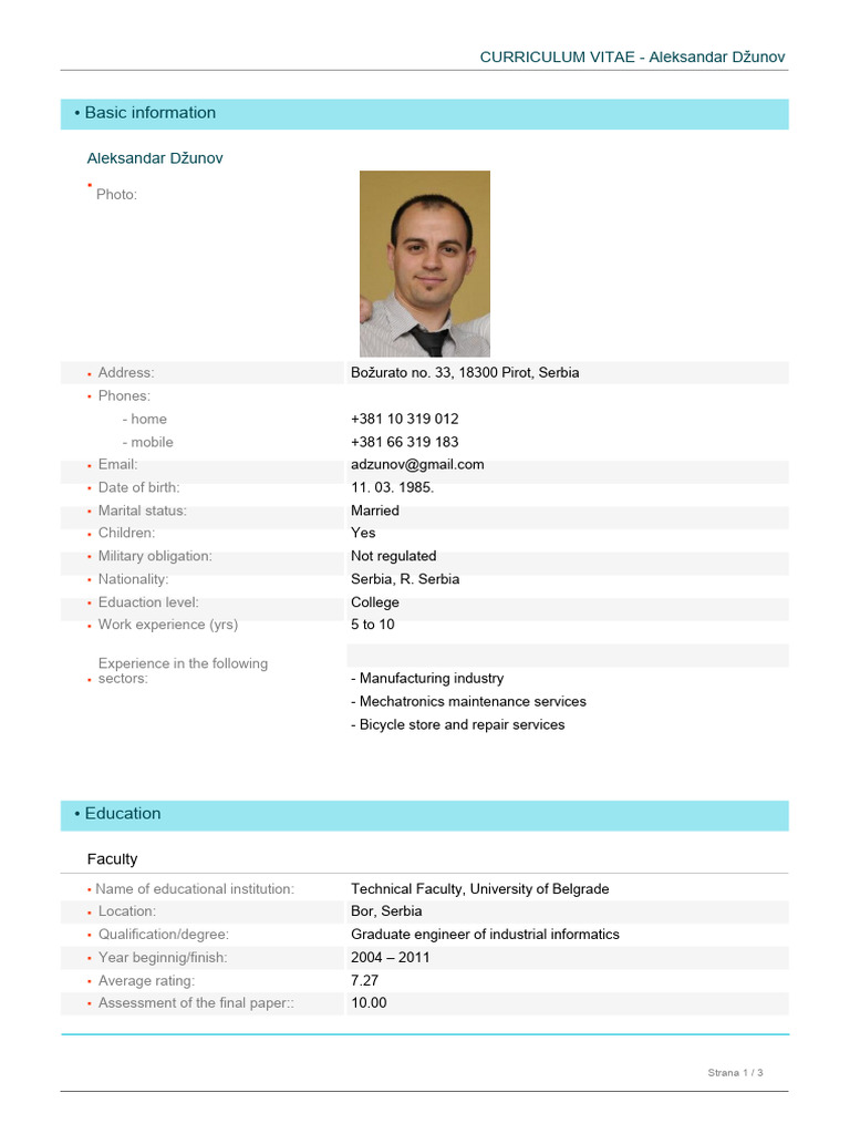 Aleksandar Džunov CV: Mechatronics Expert | PDF | Engineering