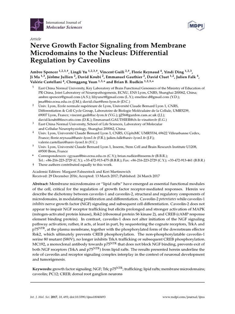Nerve Growth Factor Signaling From Membrane Microdomains | PDF | Cell ...