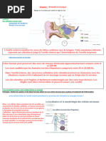 Anat Physio ORL | PDF | Oreille | Système vestibulaire