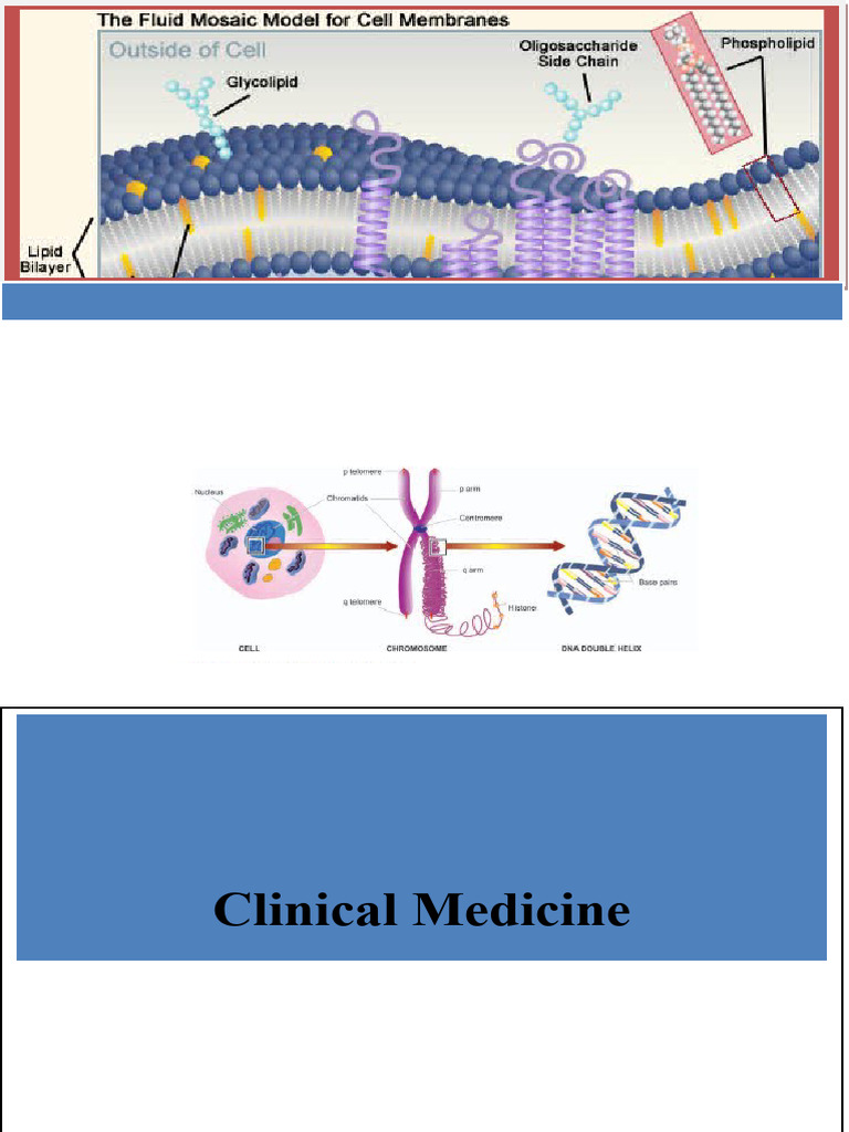 Lecture Notes General Pathology | PDF | Cytopathology | Pathology