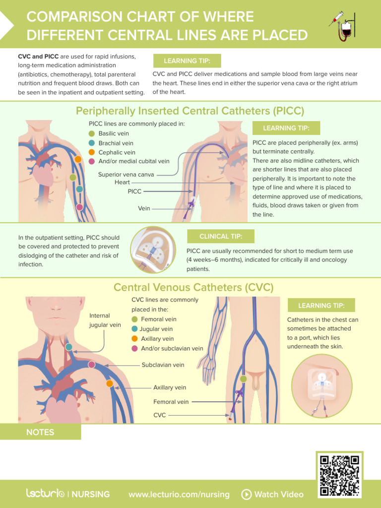 Nursing - CS - Comparison Chart of Where Different Central Lines Are ...