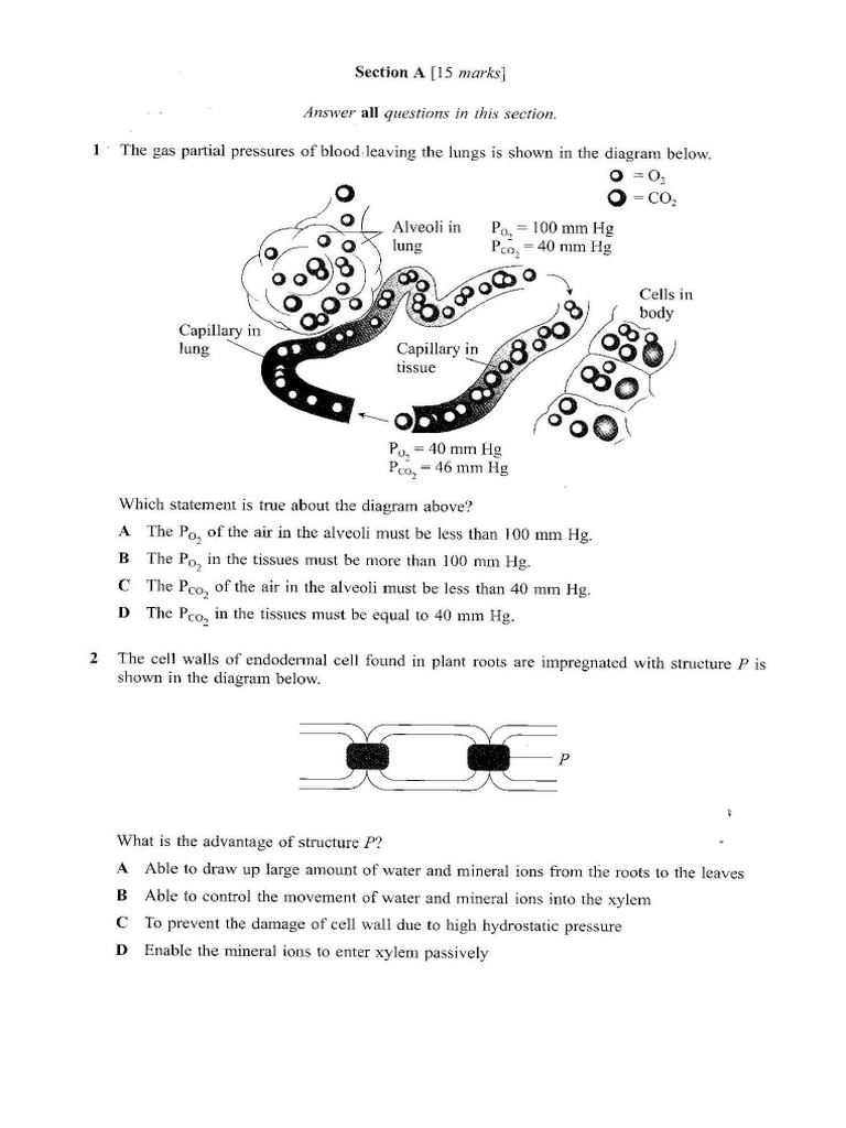 2015 Sem 2 Biology Actual Question | PDF