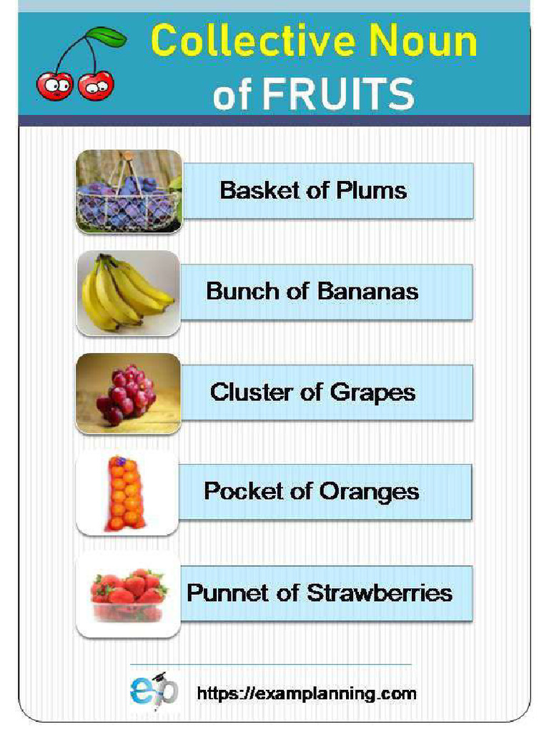 fruits | PDF