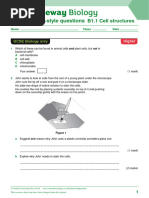 How To Write Physics Practical FIle | PDF | Experiment | Optics