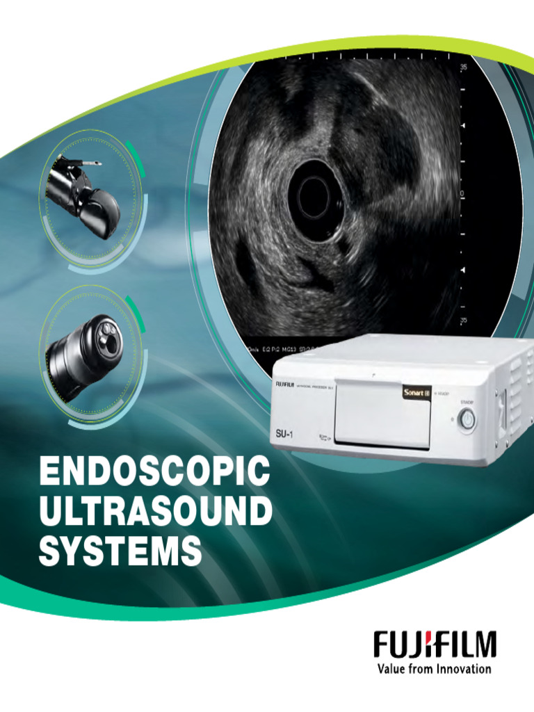 Endoscopic Ultrasound Systems Brochure | PDF | Medical Ultrasound