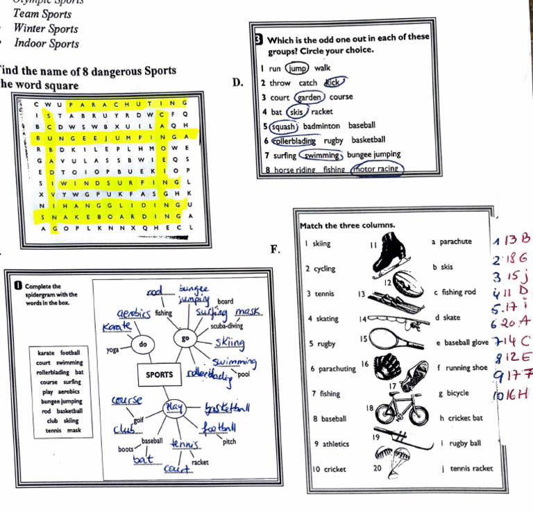 Correction of Verbs and Sports | PDF