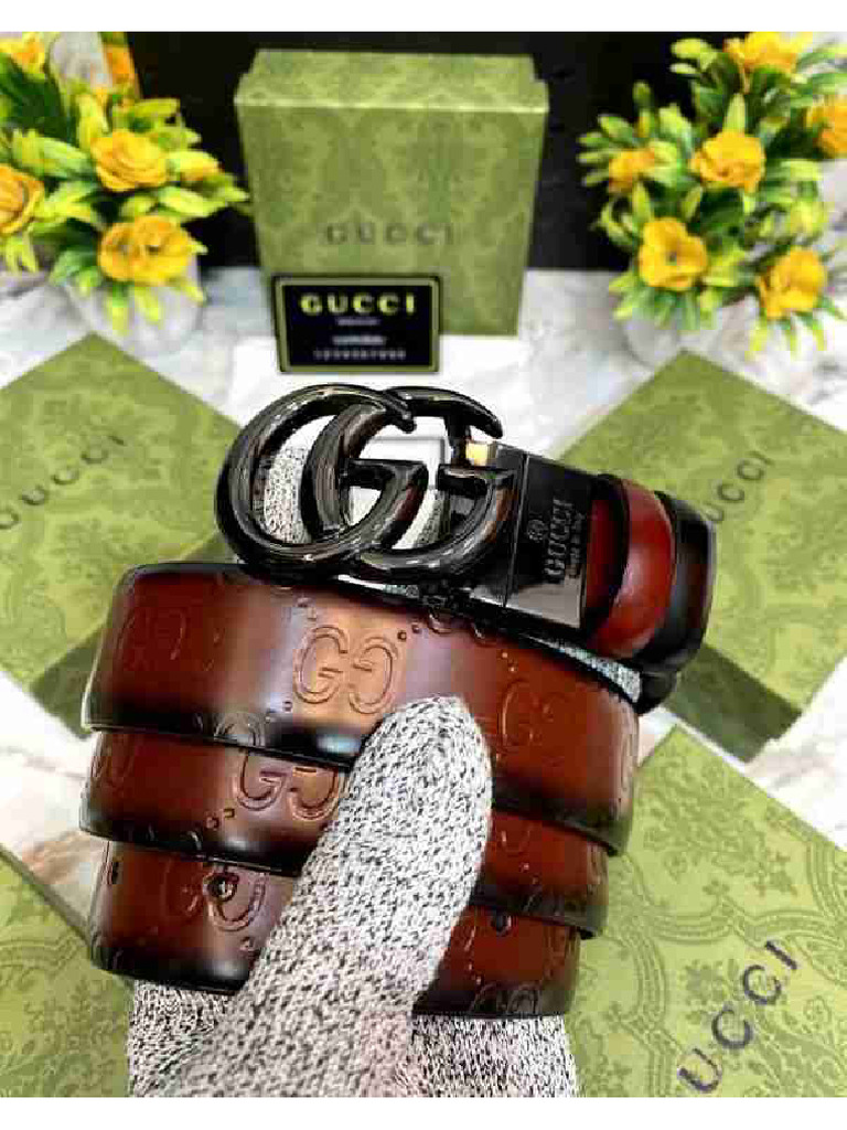 Belts Pdf