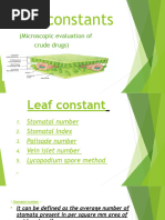 Case Study - Patent On Neem | PDF | Patent | Business