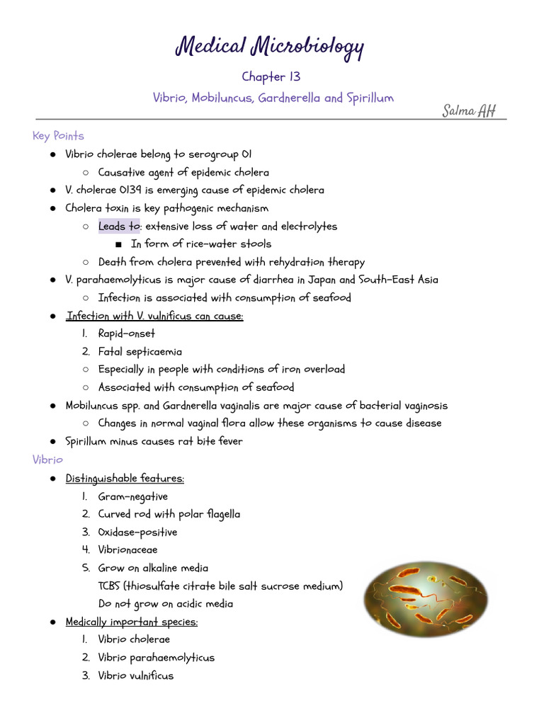 Medical Microbiology Ch13 | PDF | Cholera | Microbiology