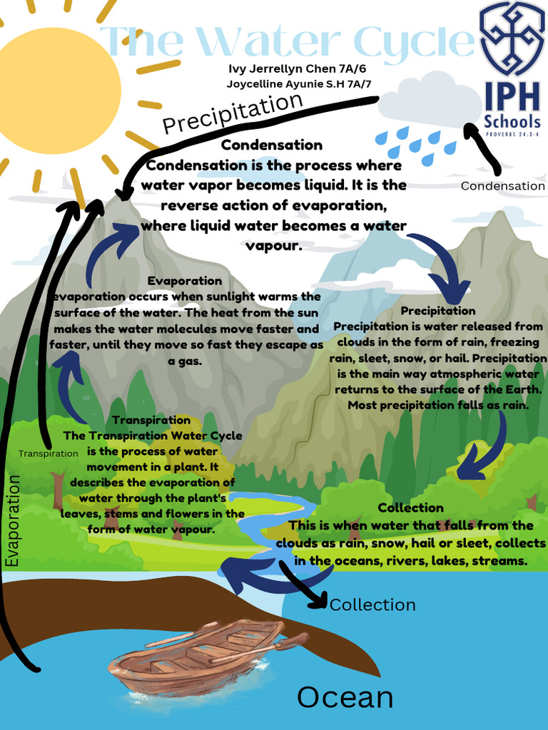 Colorful Bold The Water Cycle Science Poster - 20240529 - 173719 - 0000 ...