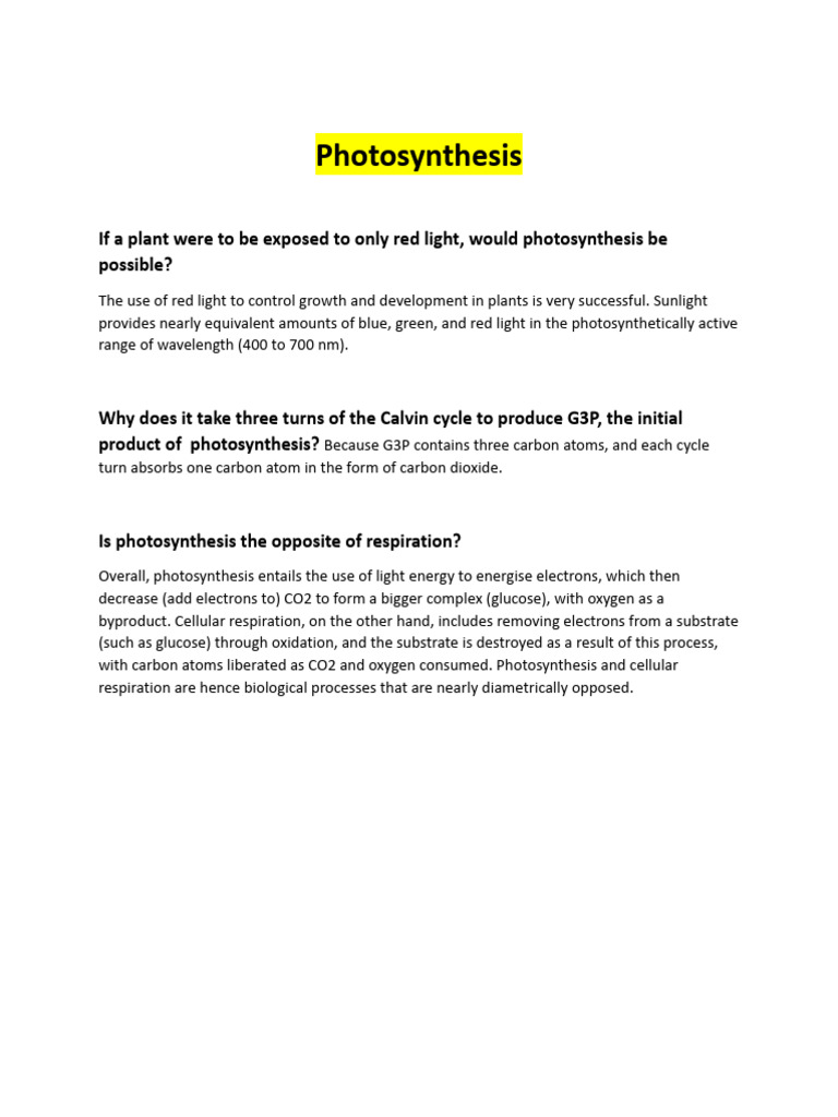 PHOTOSYNTHESIS | PDF