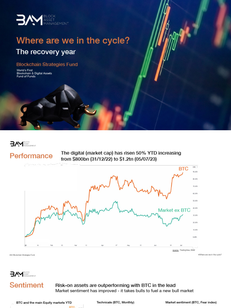 BAM Where Are We in The Cycle The Recovery Year 2023 | PDF | Bitcoin ...