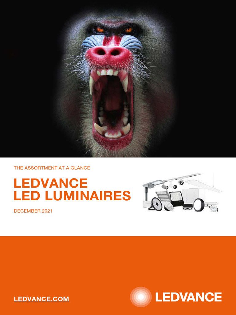 Asset-13056935 Lum Brochure December 2021 en Digital | PDF | Lighting ...