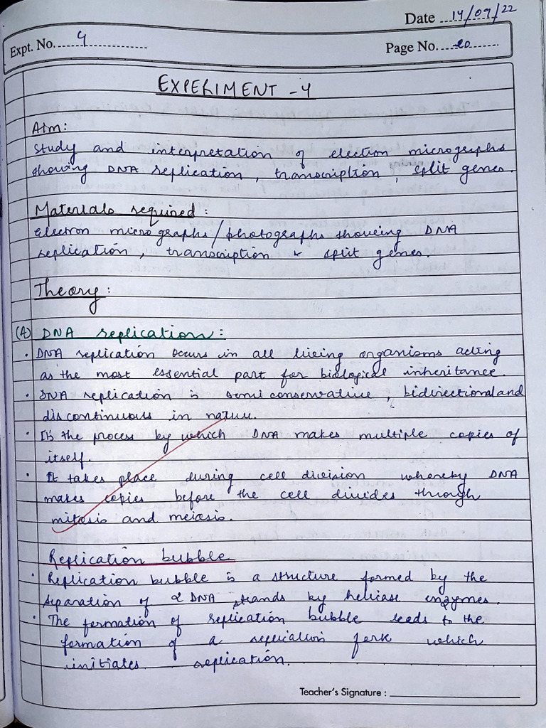Mol Bio Exp 3 (B) - 4 | PDF