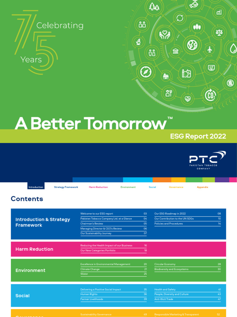 ESG Report | PDF | Sustainability | Governance