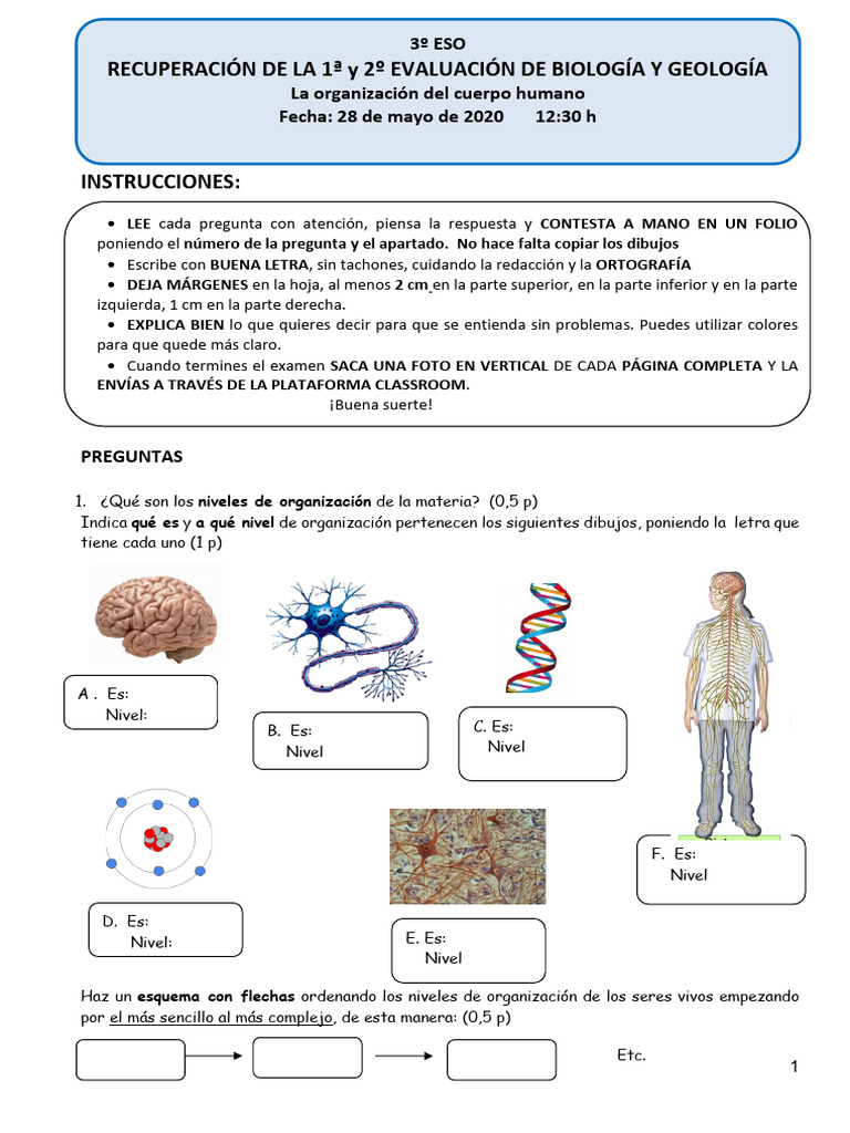 3esob - Recup - 1 Eval y 2 Eval2020 | PDF | Biología Celular) | Eucariotas 3esob - Recup - 1 Eval y 2 Eval2020 | PDF | Biología Celular) | Eucariotas