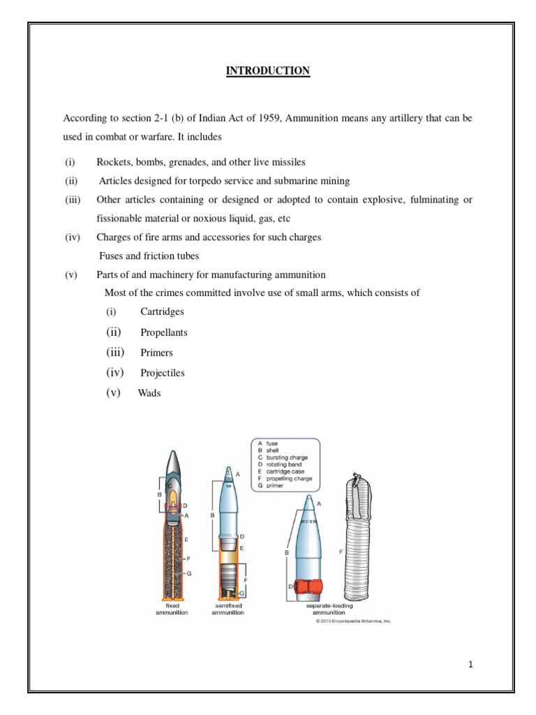 Forensic Insights on Bullet Types and Marks | PDF | Bullet | Cartridge ...