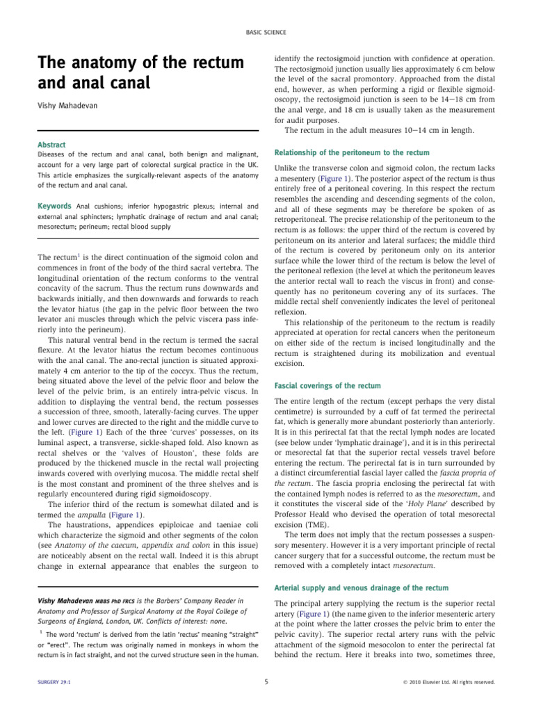 The Anatomy of The Rectum and Anal Canal | PDF | Rectum | Vein