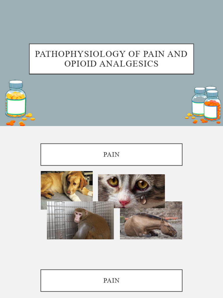 Pathophysiology of Pain and Opioid Analgesics | PDF | Pain | Opioid