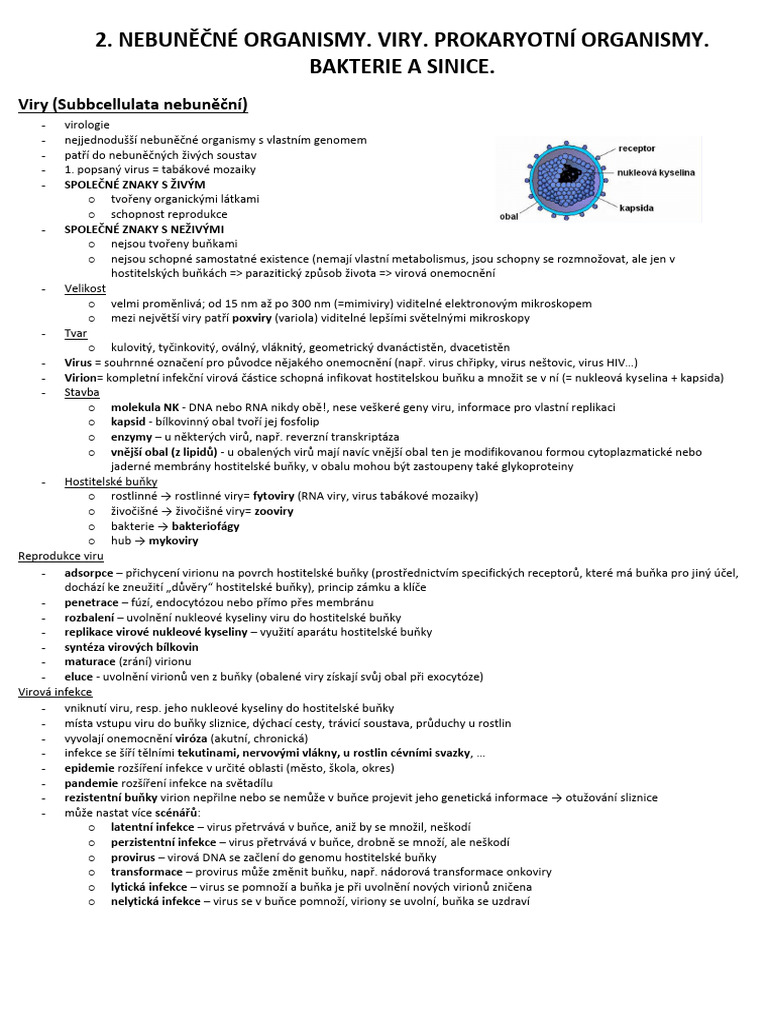 Otázka 2 - Viry, Prokaryota, Bakterie A Sinice | PDF