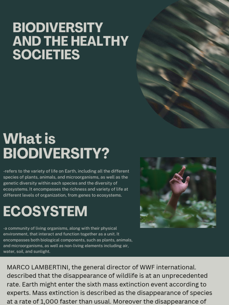 Biodiversity Education Presentation Presentation in Dark Green White ...