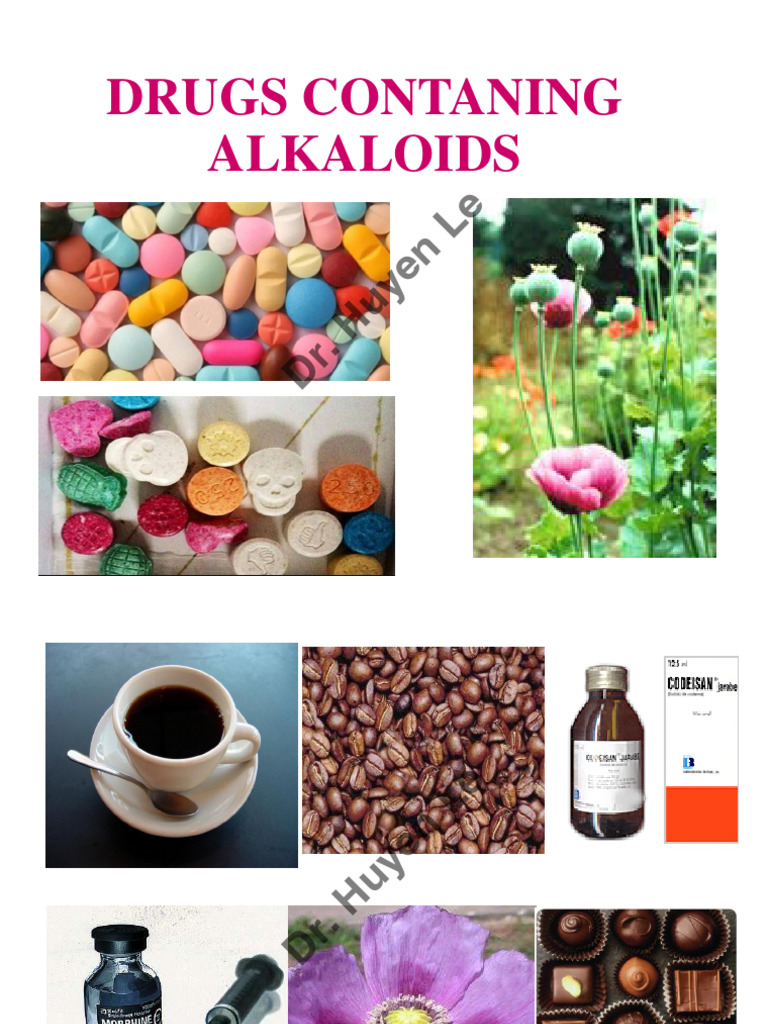 Drugs Containing Alkaloids_Part I, Tropane Alkaloids | Download Free ...