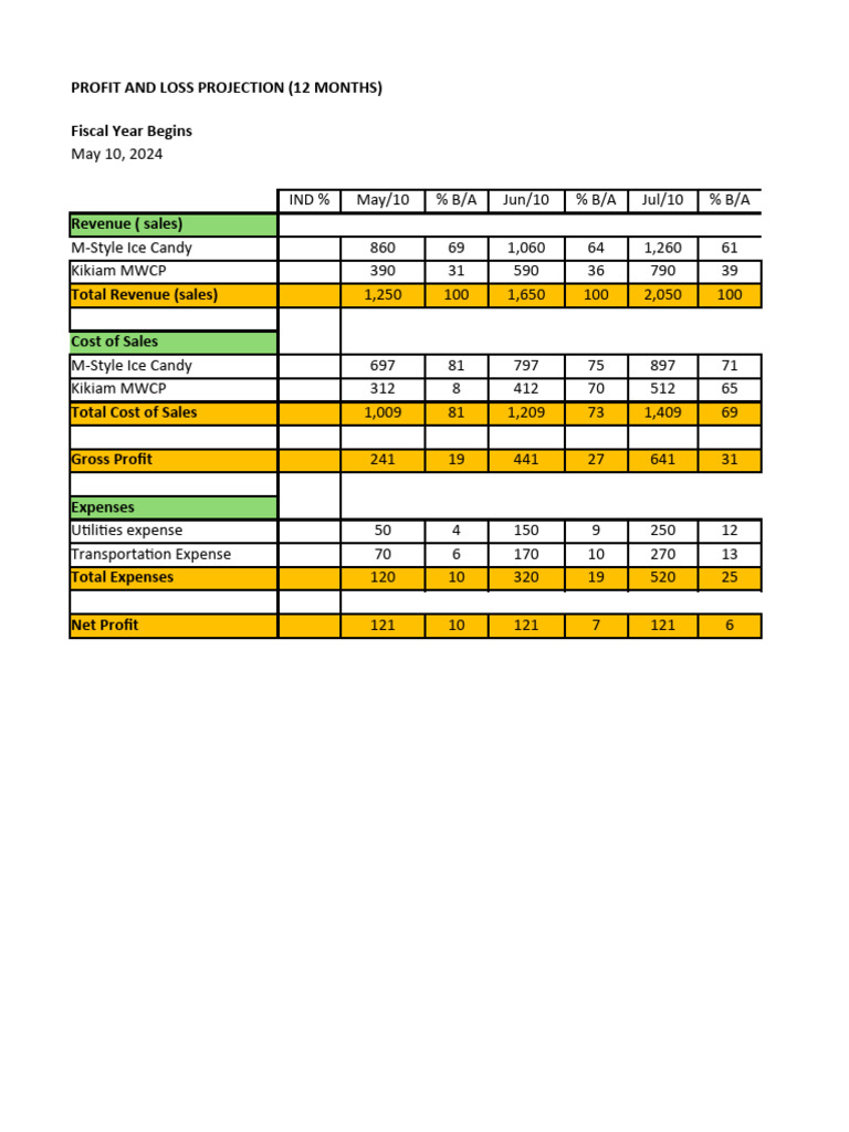Profit and Loss Projection | PDF | Technology & Engineering