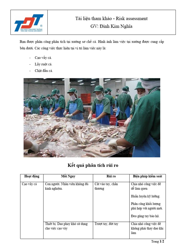 Sample Risk Analysis | PDF