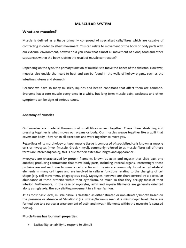 Notes - Muscular System | PDF | Muscle | Muscle Contraction