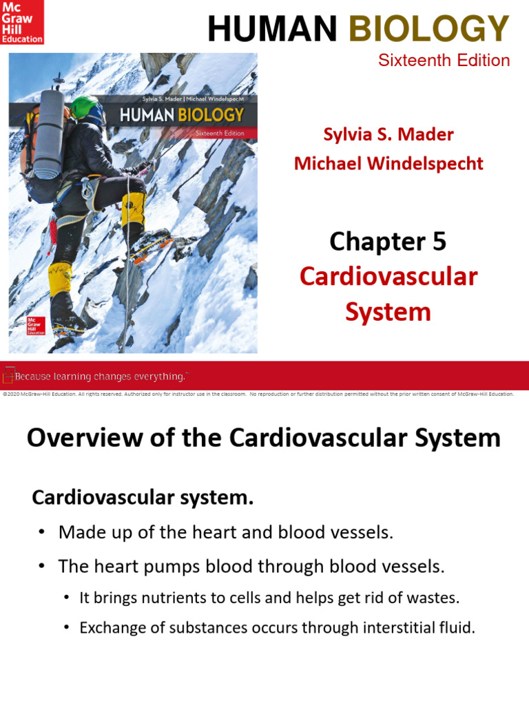 5-Cardiovascular System | PDF | Heart Valve | Heart