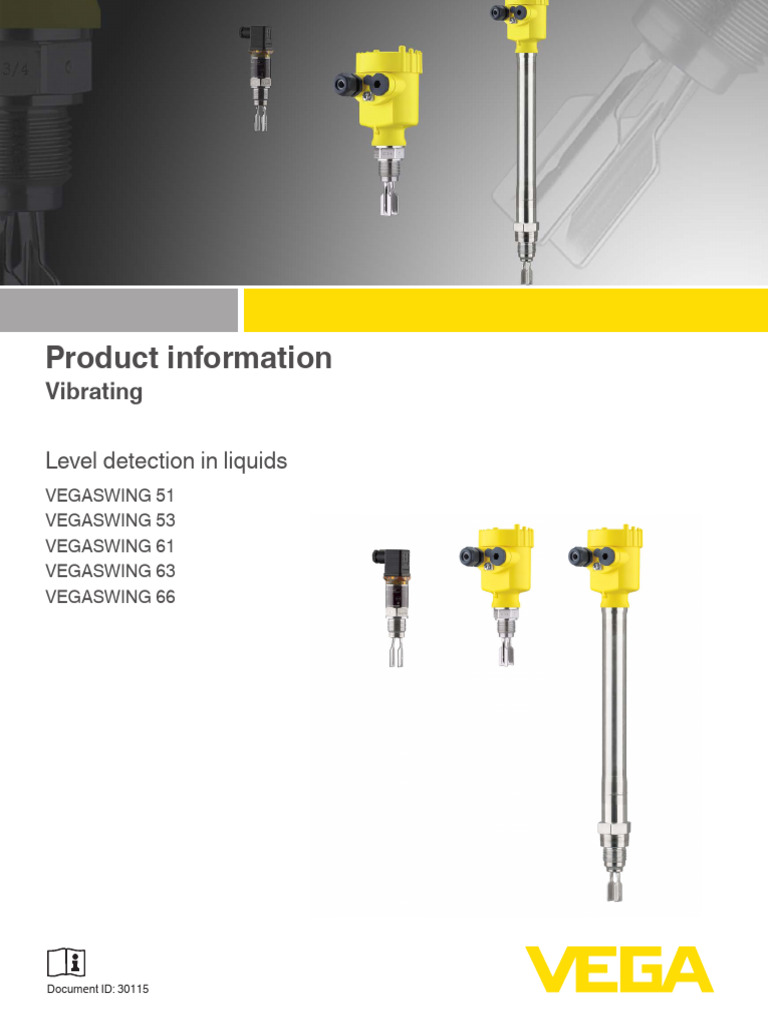 en VEGASWING 51-61-63 66 Level Detection in Liquids | PDF | Pipe (Fluid ...