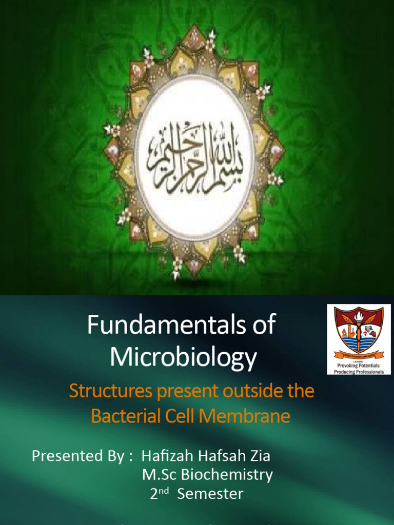 Bacterial Structures Outside The Cell Membrane | PDF | Bacteria | Cell ...